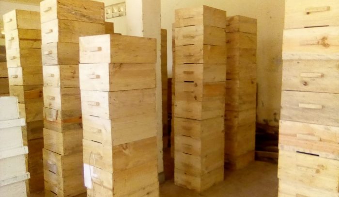 Beehives – KVDA