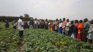 KVDA – Kerio Valley Development Authority