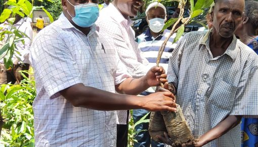 KVDA – Kerio Valley Development Authority